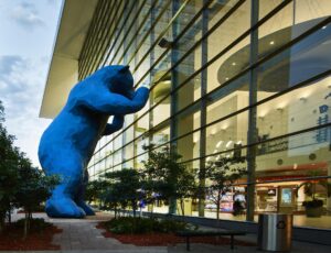 Blue Bear Denver: Unveiling the Colossal 40-Foot Public Art Icon ...